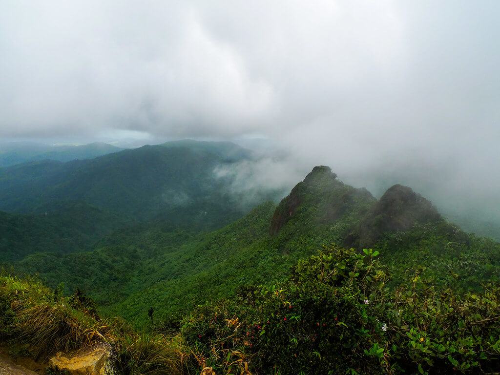 El Yunque The Heart Of Puerto Ricos Tropical Wilderness Lac Geo